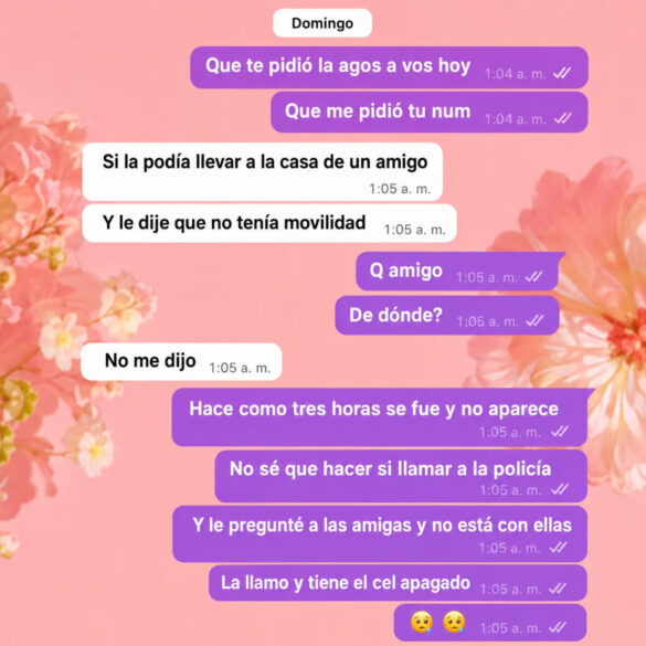 Engaño, “escape”, los chats de Barrelier, desaparición y un Ford Ka ...